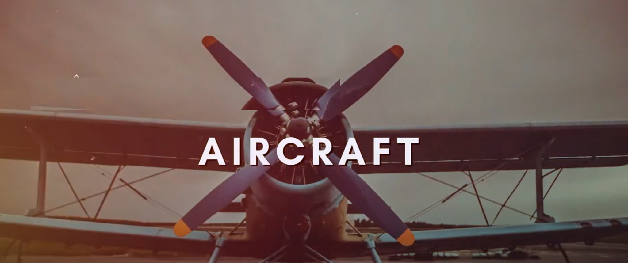 Climate Controlled Hangar For Collectible Air Planes | Airplane Exhibits